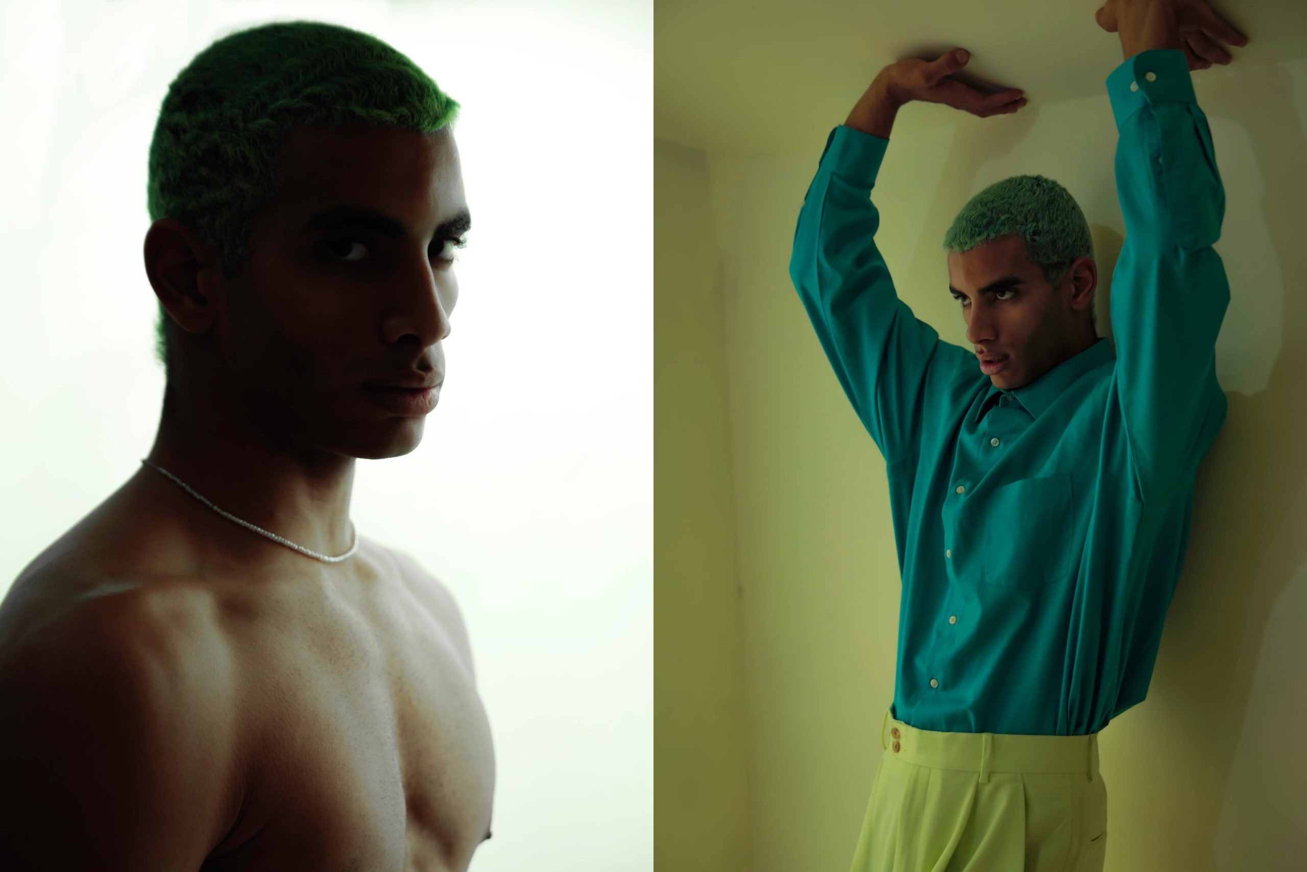 AHMED – VN Model Management