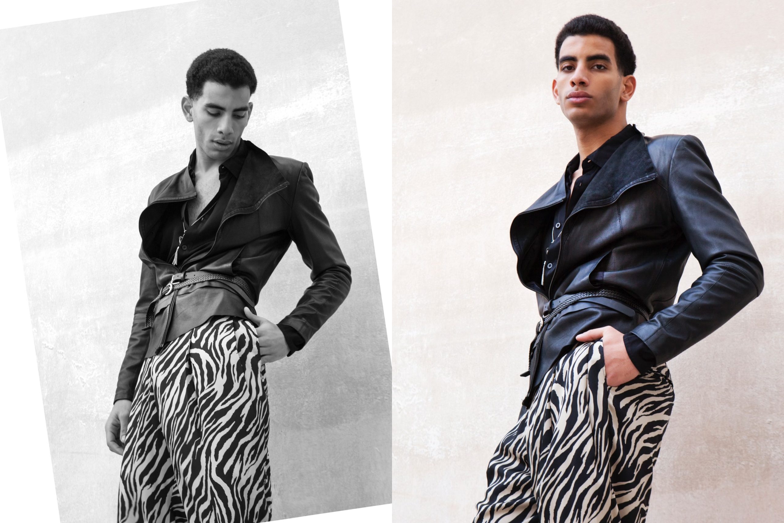 AHMED – VN Model Management