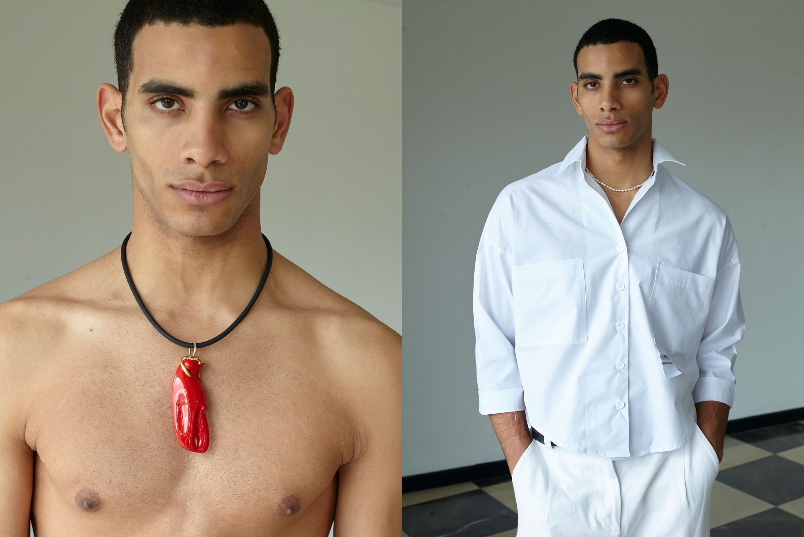 AHMED – VN Model Management